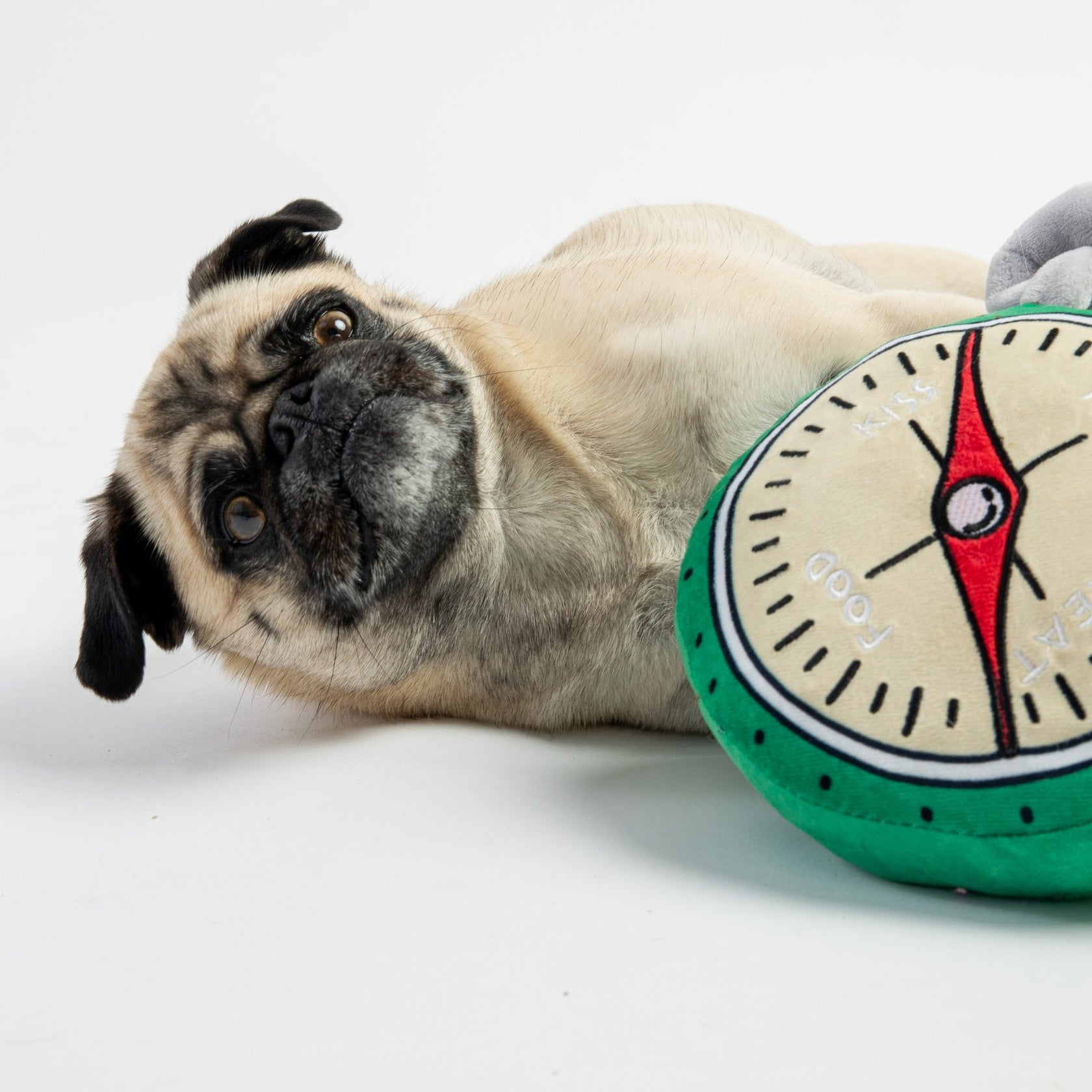 Compass- Dog Toy | dog trick Compass – Silver Paw