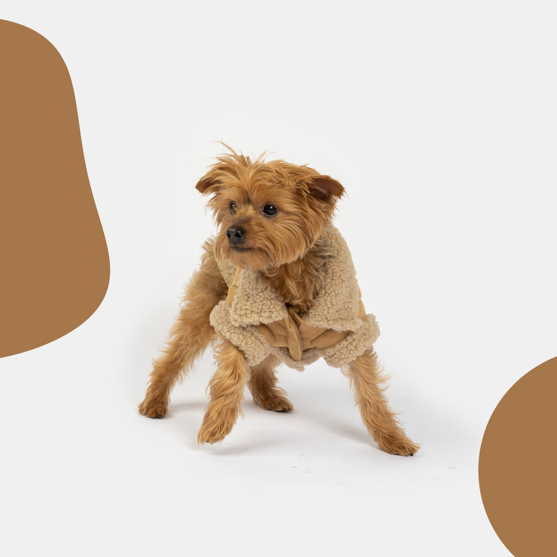 👜 Millie Dog Jacket – Vegan Suede with Sherpa Trim & Poop Bag Dispense ...