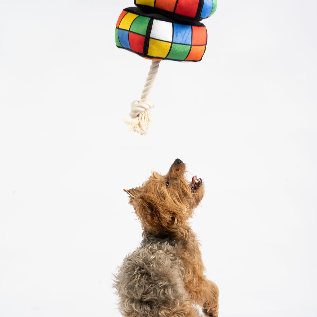 🧩 Rubix Cube Dog Toy – Squeaky Plush with Tug Rope for Interactive Pla ...