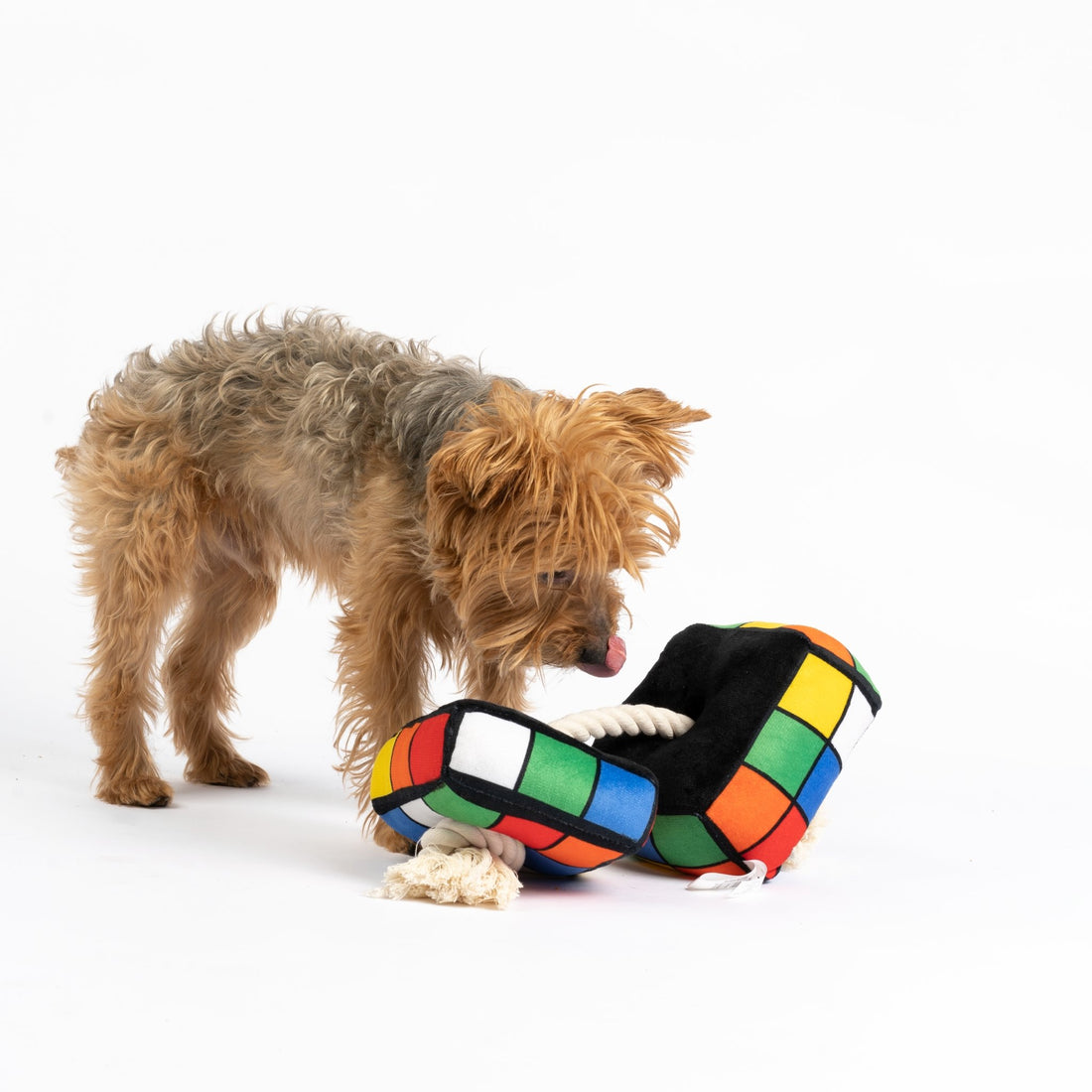 🧩 Rubix Cube Dog Toy – Squeaky Plush with Tug Rope for Interactive Pla ...